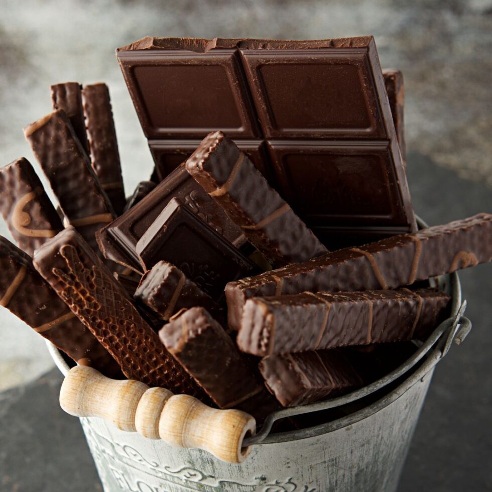 15 Common Household Items That Can Kill Your Curious Cat | Atlantic Veterinary Hospital