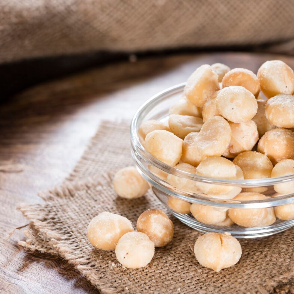 15 Common Household Items That Can Kill Your Curious Cat | Atlantic Veterinary Hospital