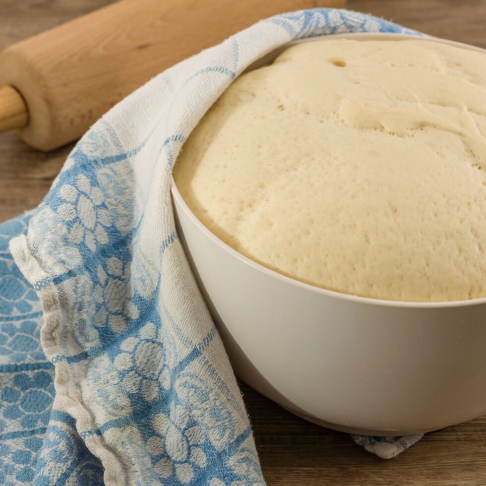 15 Common Household Items That Can Kill Your Curious Cat | Atlantic Veterinary Hospital