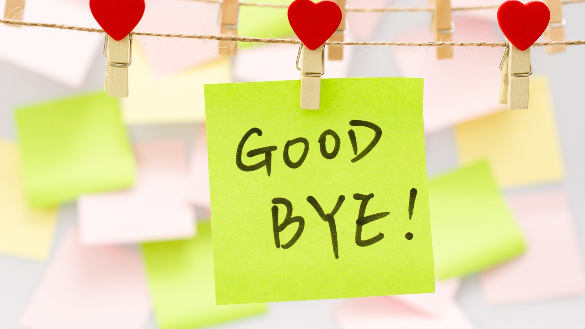 Saying Goodbye To Bogie | Atlantic Veterinary Hospital